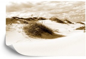 Fototapeta Odpoledne V Dunes V Sepia Omyvatelný vlies 104x70.5