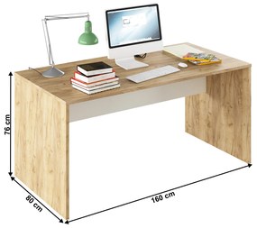 Psací stůl, dub artisan/bílá, RIOMA TYP 16