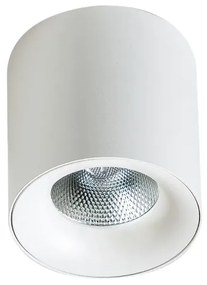 LED bodové světlo Mane 30W bílé