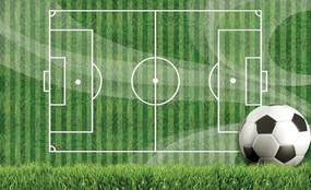Fototapeta - Fotbalové hřiště (254x184 cm)