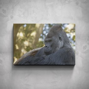 Obraz - Gorila profil - PopyDesign
