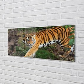 akrylový obraz Tiger Woods 120x60 cm