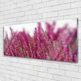 Plexisklo-obraz Květiny Louka Příroda 125x50 cm