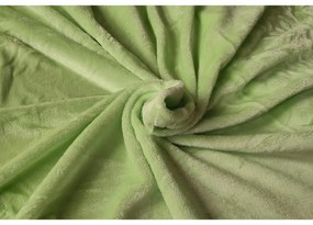 Jahu Prostěradlo Mikroplyš zelená, 180 x 200 cm