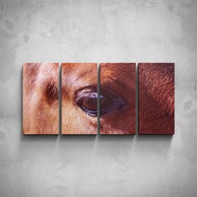 4-dílný obraz - Oko koně - PopyDesign