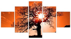 Obraz - Dub při západu slunce (125x70 cm)