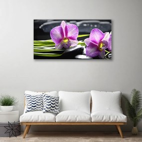 Obraz na plátně Orchidej Kameny Zen Lázně 140x70 cm