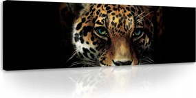 Obraz 145x45 Jaguar pohled do divoké přírody Ideální do obývacího pokoje