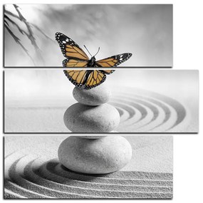 Obraz na plátně - Motýl na spa kameny - čtverec 3180QD (75x75 cm)