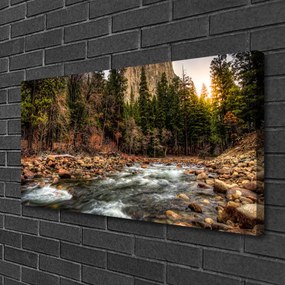 Obraz na plátně Les Jezero Příroda 140x70 cm