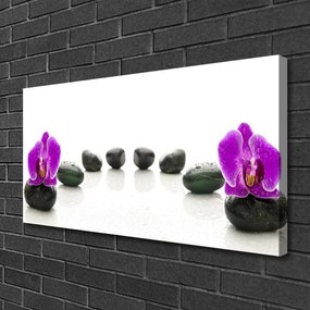 Obraz na plátně Květ Kameny Umění 100x50 cm