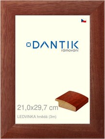 DANTIK rámeček 21x29,7 | LEDVINKA hnědá (Sklo Čiré)