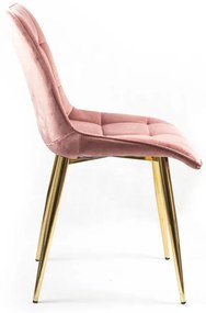 Židle PATRE - samet RŮŽOVÝ zlaté nožky