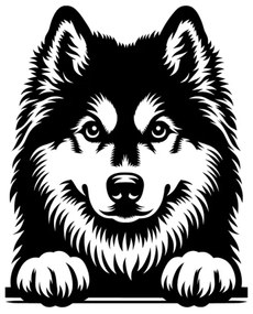 Samolepka pes Sibiřský husky