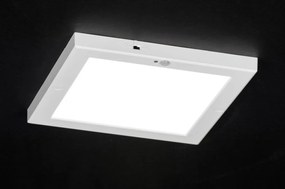Stropní bílé LED svítidlo s čidlem pohybu Avanti White