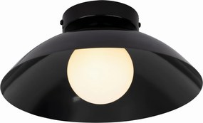 XXXLutz STROPNÍ SVÍTIDLO, 30/15 cm Collett's Monde - Online Only svítidla - 006212009604
