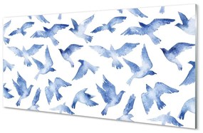 Obraz na skle malované ptáci 100x50 cm