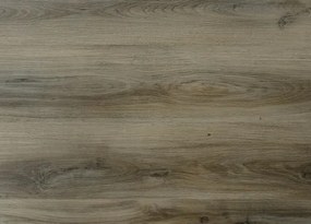 Koberce Breno Vinylová podlaha MODULEO SELECT Classic Oak 24877, velikost balení 3,881 m2 (15 lamel)