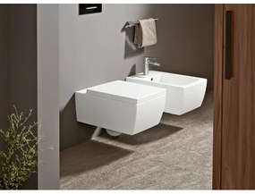 Villeroy & Boch 922169AN -Splachovací tlačítko VICONNECT matná černá/matný chrom