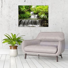 Obraz - Vodopád v deštném lese (70x50 cm)