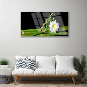 Obraz na skle Bambus Květ Rostlina 100x50 cm
