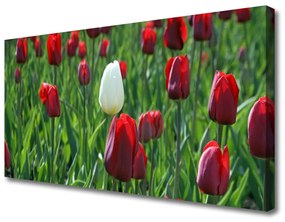 Obraz na plátně Tulipány Květiny Příroda 125x50 cm