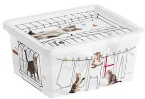 Plastový C Box s víkem XXS Pets Collection KOŤÁTKA