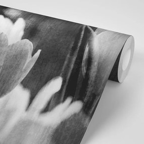 Samolepící tapeta černobílé tulipány v retro stylu