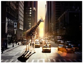 Fototapeta - Giraffe in the big city