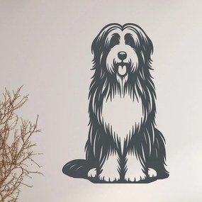 dřevo života Dřevěný obraz Bearded Collie Zvolte rozměr (cm): 31x40, Zvolte barvu dekoru: Antracitová