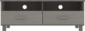 TV stolek HAMAR světle šedý 106 x 40 x 40 cm masivní borovice 340471