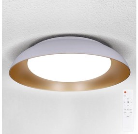 Brilagi -LED Stmívatelné svítidlo ALVA LED/48W/230V 3000-6500K pr. 51 cm bílá+DO