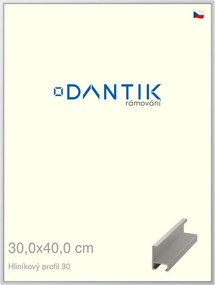 DANTIK rámeček 30x40 | ALU profil 6030 Stříbrná matná (Plexi Čiré)