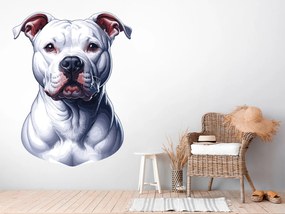 Nalepte.cz Pes Pitbull arch 58 x 75 cm