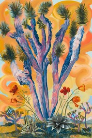 Ilustrace Desert flower, Eleanor Baker