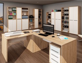 PC stůl, dub artisan/bílá, RIOMA TYP 11