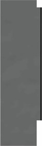 Koupelnová skříňka se zrcadlem 80 x 15 x 60 cm MDF zářivě šedá 331533