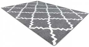 Kusový koberec SKETCH Danny šedý /bílý trellis