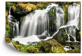 Fototapeta Vodopád V Lese Omyvatelný vlies 180x120