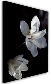 Gario Obraz na plátně Květ z kvetoucího stromu - Dmitry Belov Rozměry: 40 x 60 cm