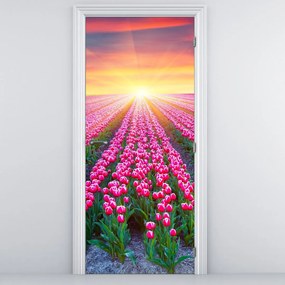 Fototapeta na dveře - Pole tulipánů se sluncem (95x205cm)