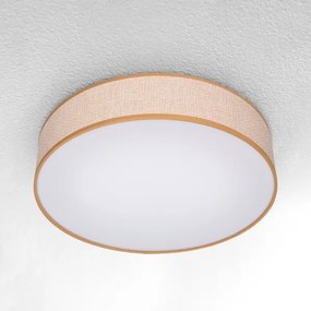 Brilagi - LED Stmívatelné stropní svítidlo CARMEN LED/48W/230V 3000-6500K + DO