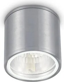 ILUX 092324 Venkovní stropní svítidlo Ideal Lux Gun PL1 alluminio 092324 stříbrná 11cm IP44 - IDEALLUX
