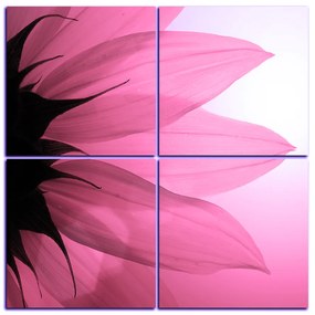 Obraz na plátně - Slunečnice květ - čtverec 3201VE (60x60 cm)