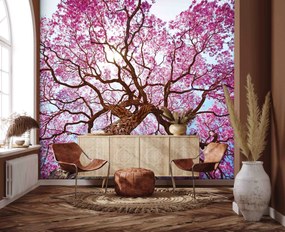 Malvis ® Tapeta Rozkvetlý strom s růžovými květy Vel. (šířka x výška): 360 x 260 cm