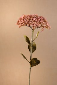 Paramit DRY FULL BLOOM SEDUM Aranžovací květina růžová 46 cm