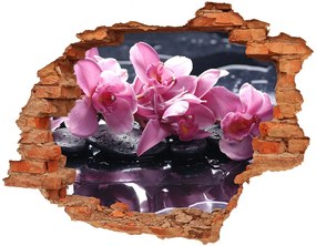 Wallmuralia Samolepící nálepka na zeď Růžová orchidej 90x70 cm