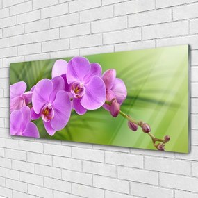 Plexisklo-obraz Vstavač Orchidej Květiny 125x50 cm