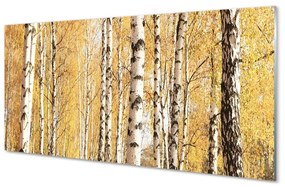 Obraz na skle podzimní stromy 120x60 cm