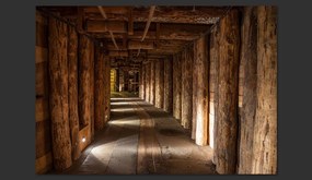 Fototapeta Bimago - Wooden tunnel + lepidlo zdarma 350x245 cm